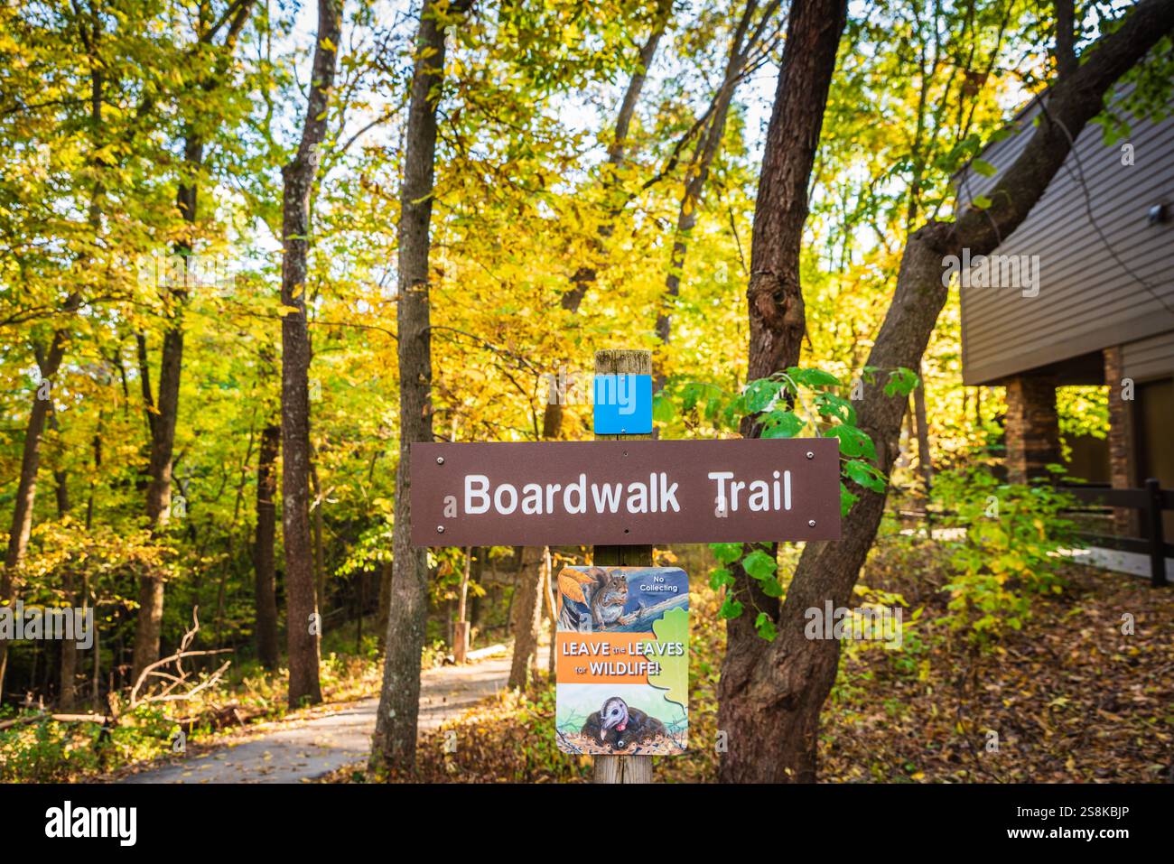 Springfield, MO USA - October 10, 2020: The Boardwalk Trail at the ...