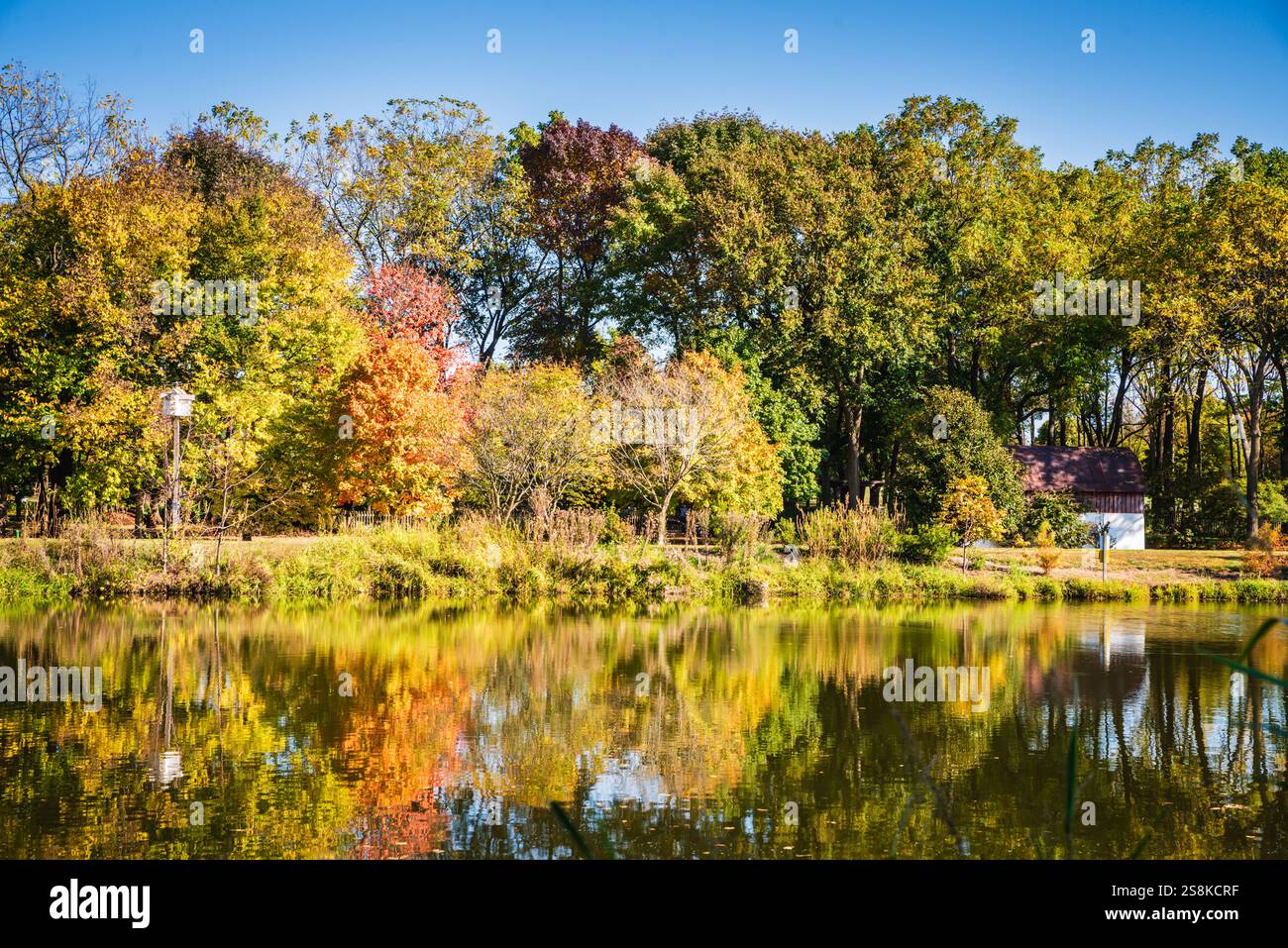 Nathaniel Green Park features landscaped botanical gardens, with BBQ ...