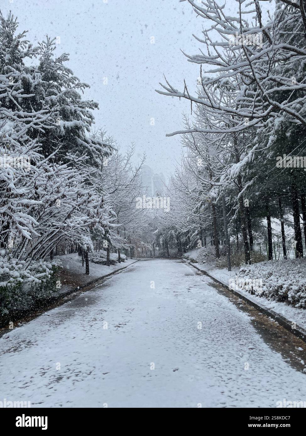 snow park walk in seoul Stock Photo - Alamy