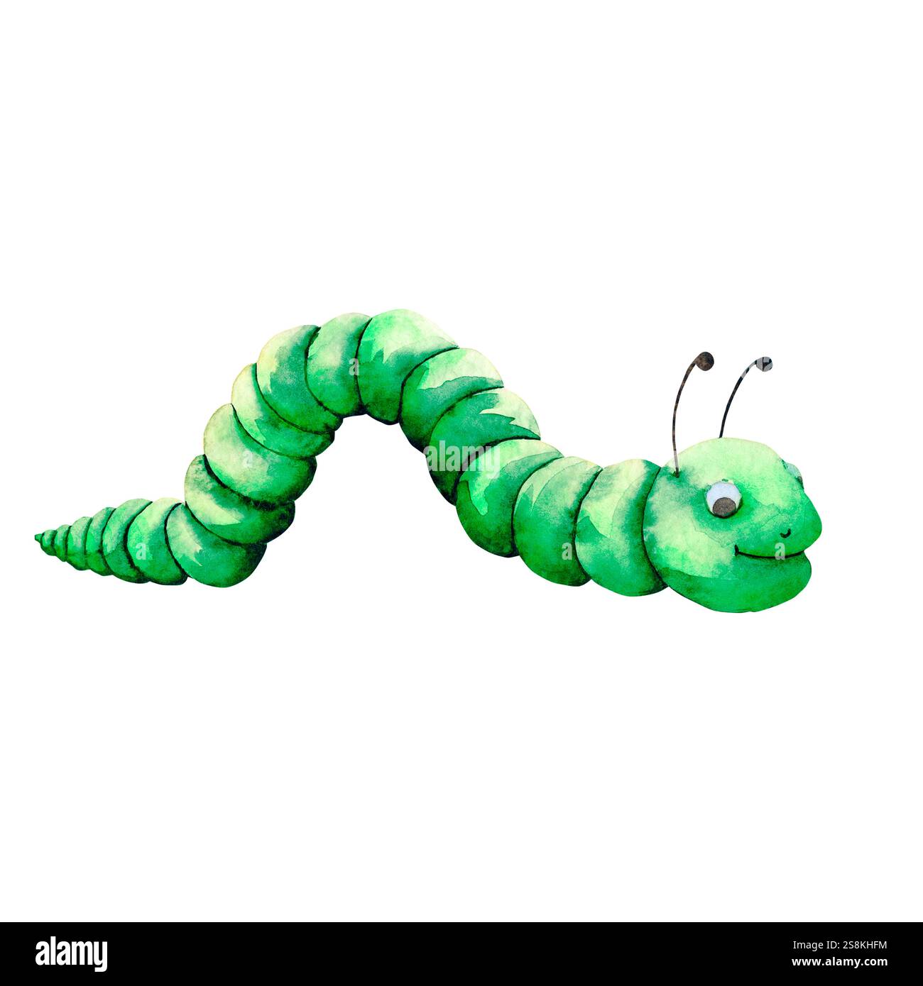 Watercolor worm hi-res stock photography and images - Alamy