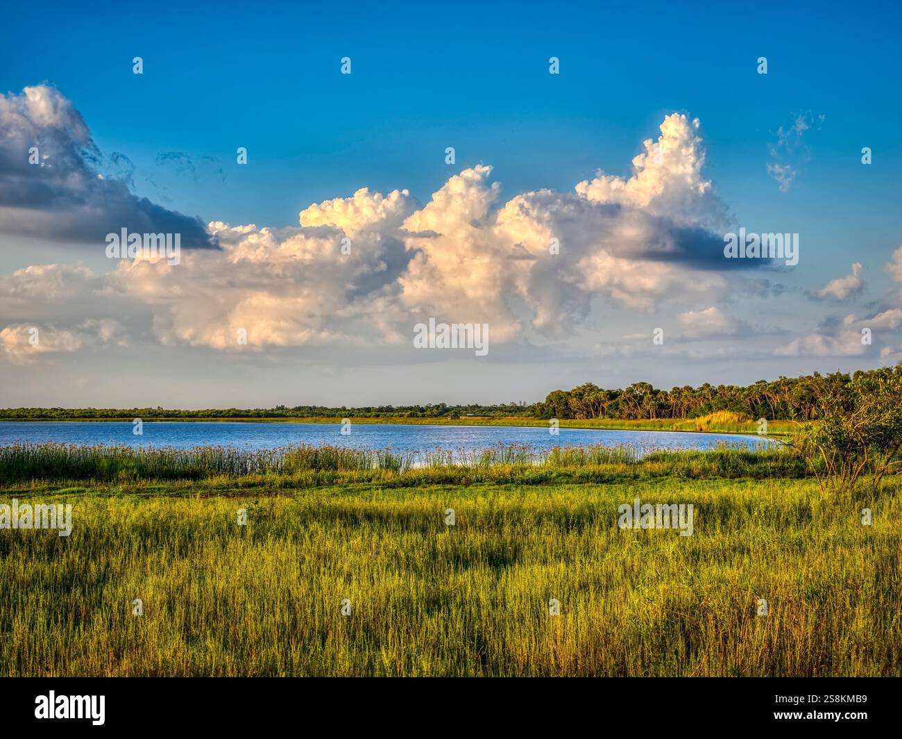Upper Myakka Lake in Myakka River State Park, Sarasota, Florida, USA ...