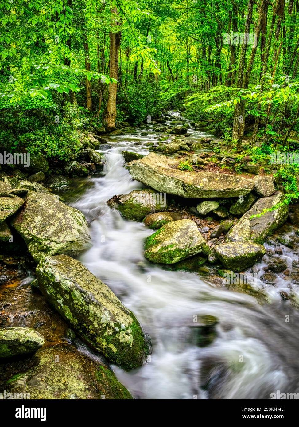 Great smokey mountains tennessee hi-res stock photography and images ...