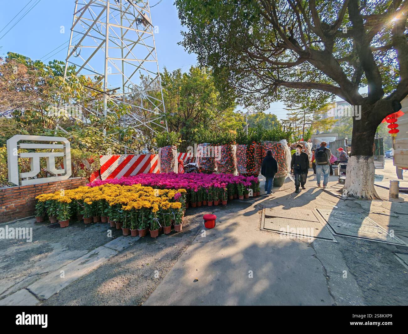 Bustling flower market in Guangzhou City, south China's Guangdong ...