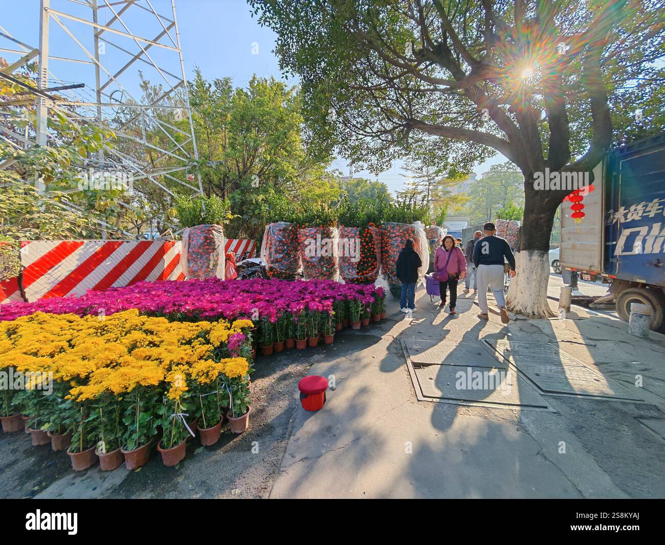 Bustling flower market in Guangzhou City, south China's Guangdong ...