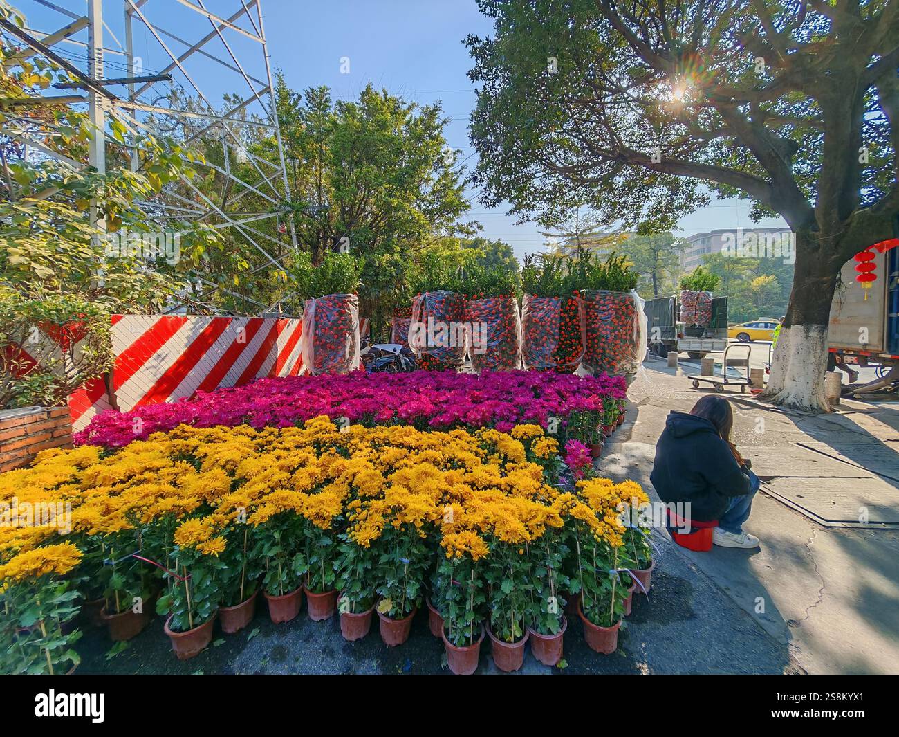 Bustling flower market in Guangzhou City, south China's Guangdong ...
