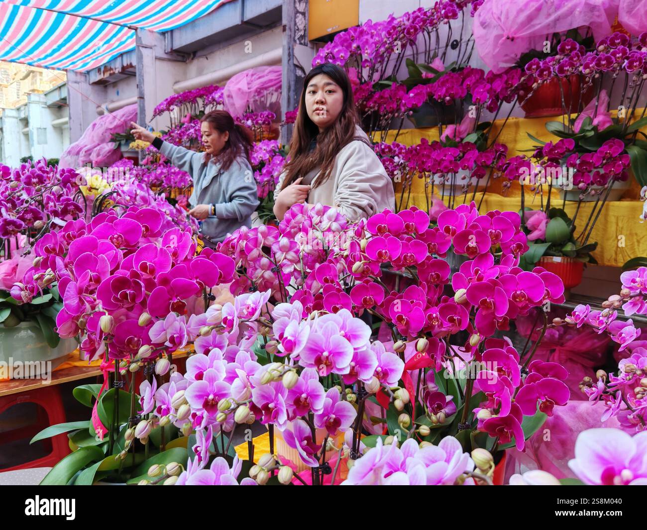 Bustling flower market in Guangzhou City, south China's Guangdong ...