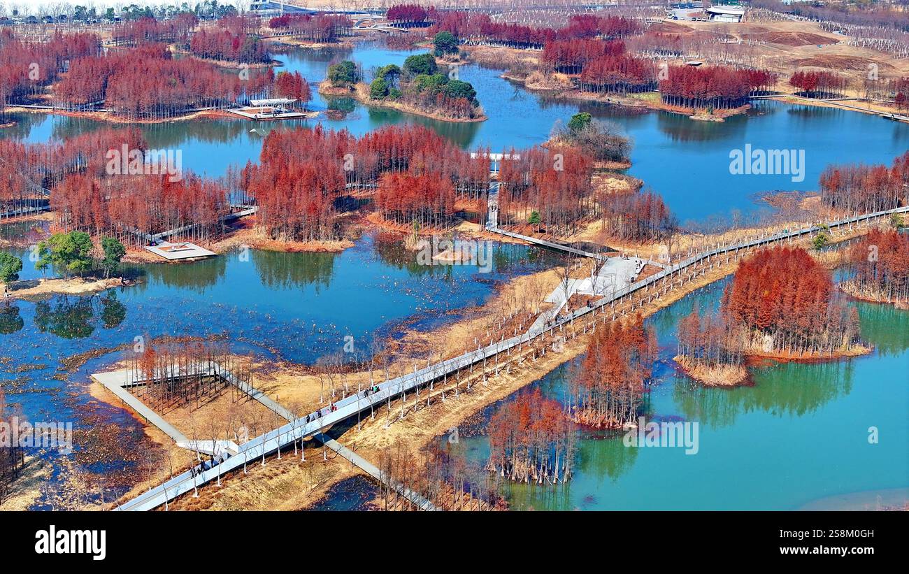 Aerial photo shows the winter scenery at Yuweizhou wetland park in ...