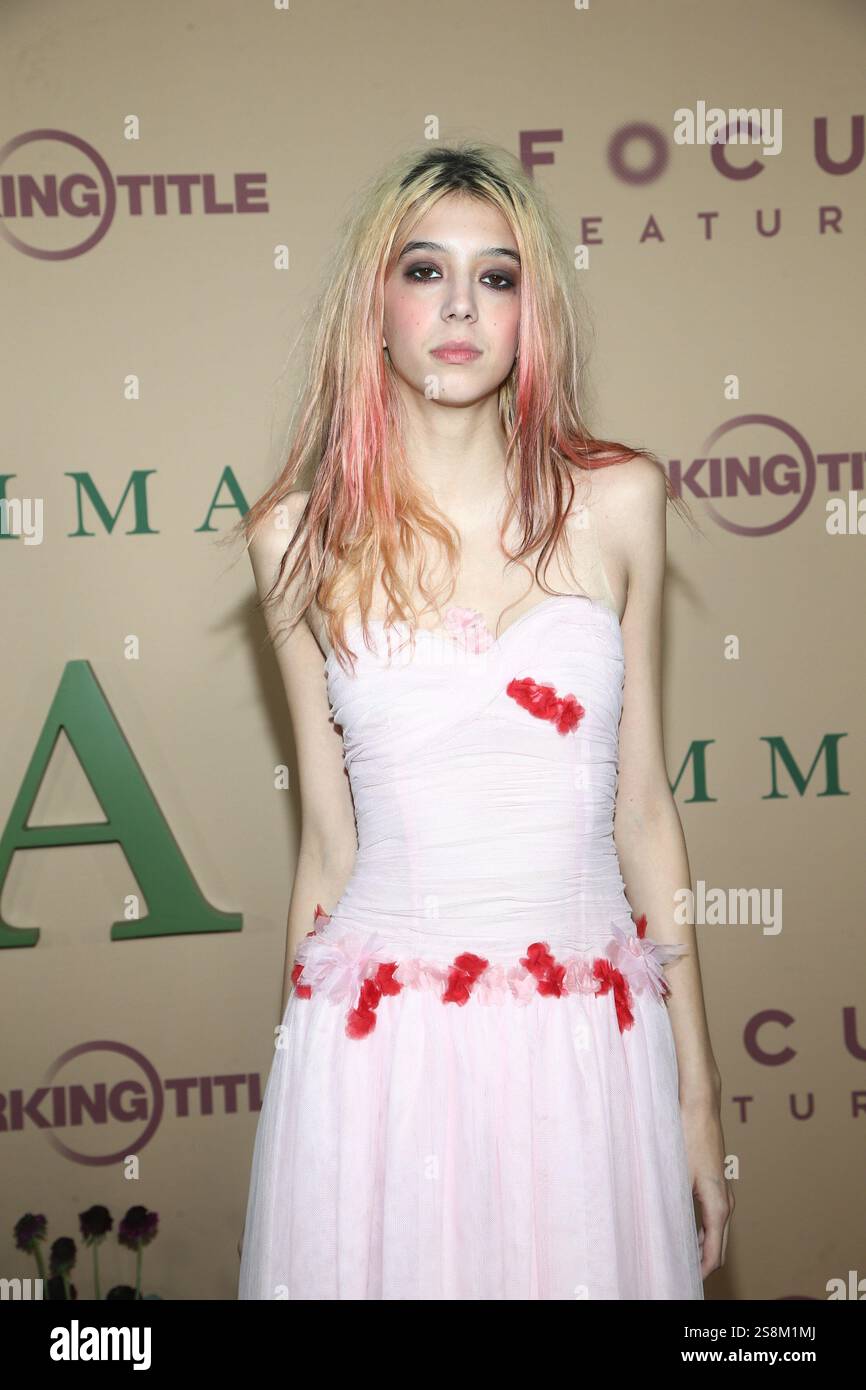 Arrow de Wilde at the 'Emma' film premiere, Arrivals, DGA Theater, Los ...