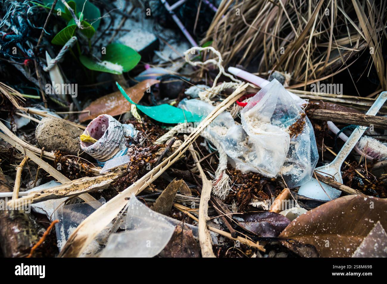 Koh Rong, Cambodia, January 22, 2025 Garbage and plastic waste is ...