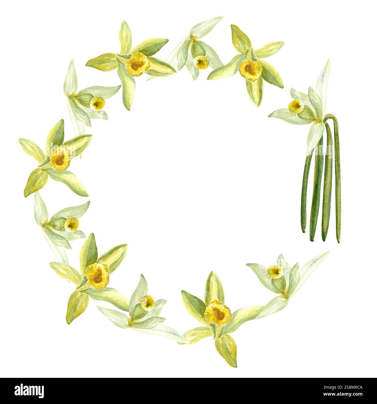 Vanilla orchid flowers and beans watercolor round frame isolated on ...