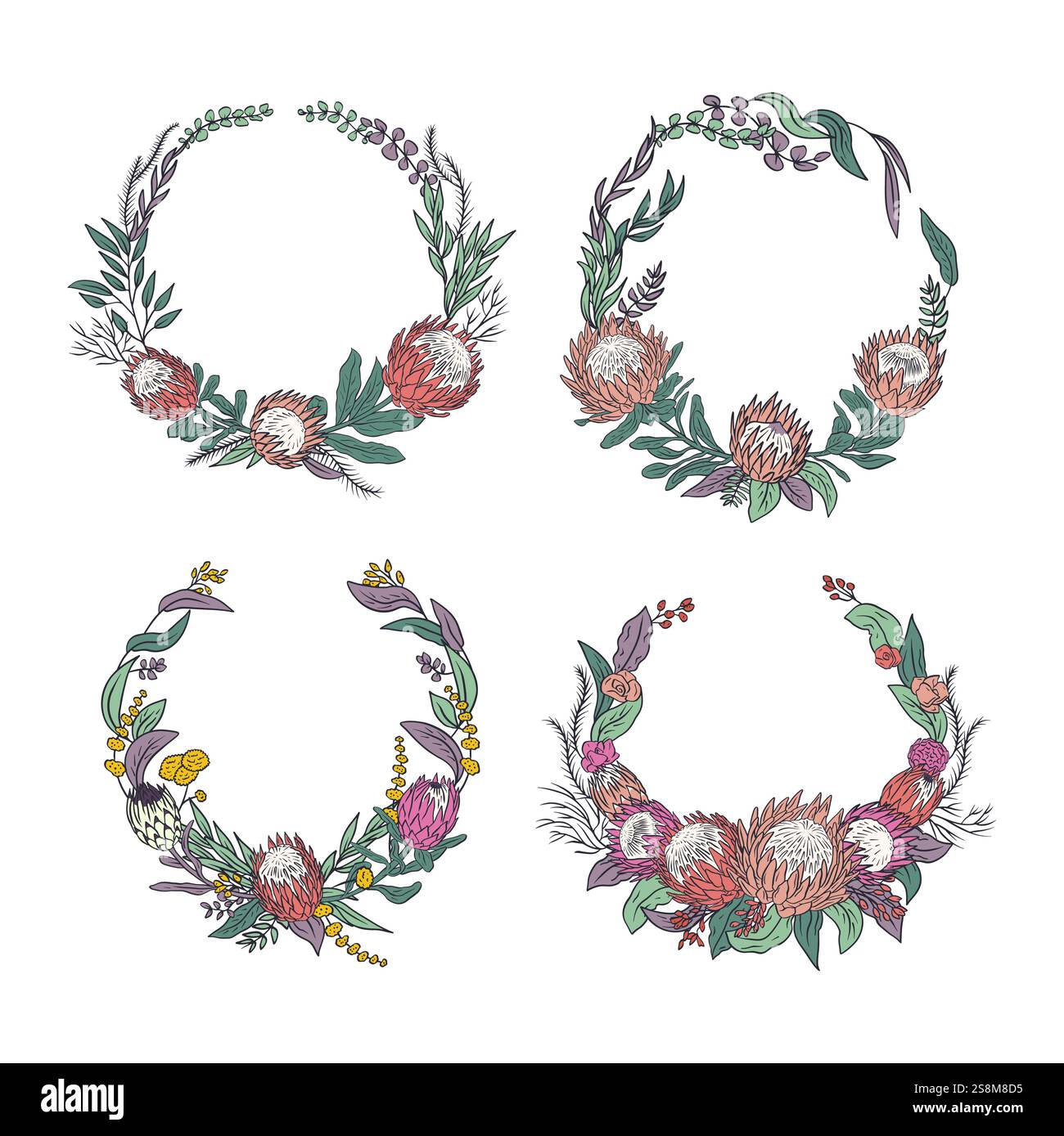Hand drawn colorful line art tropical protea flower round frames set ...