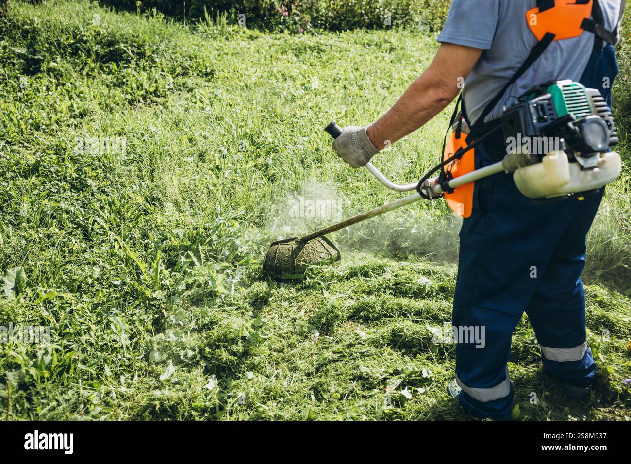 The gardener cutting green grass by lawn mower Stock Photo - Alamy