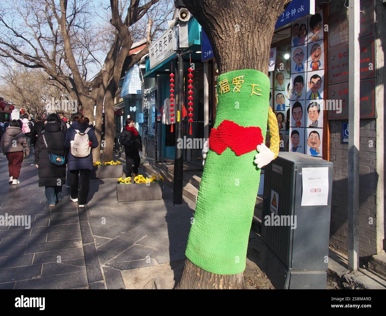 Trees in a park are put on brightly colored "sweaters" for winter in ...
