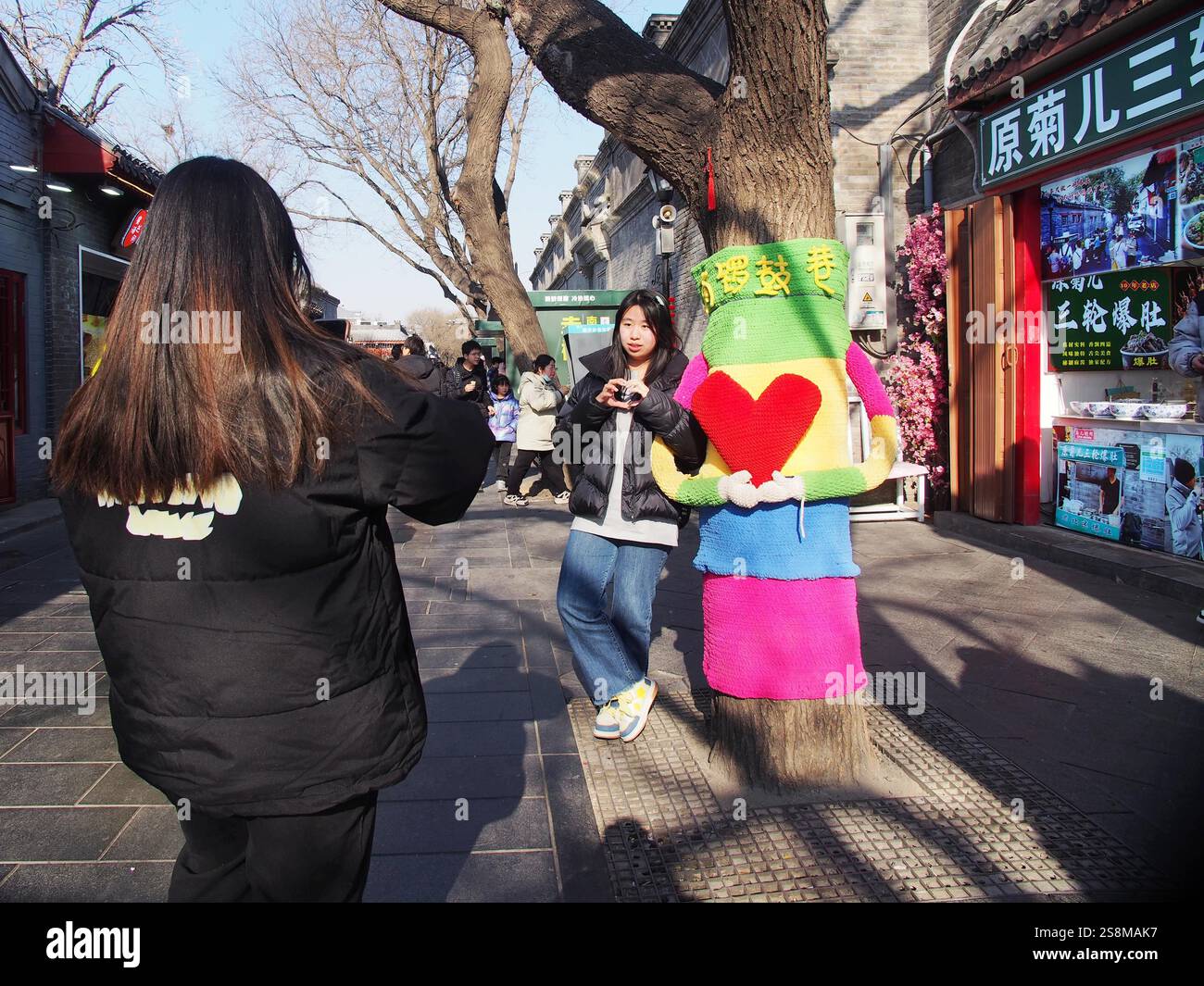 Trees in a park are put on brightly colored "sweaters" for winter in ...
