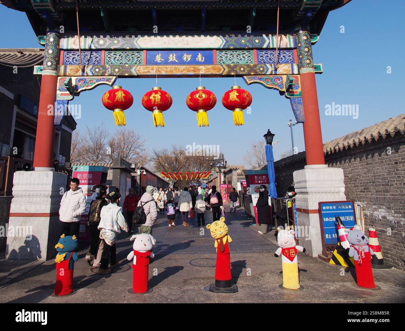 Trees in a park are put on brightly colored "sweaters" for winter in ...
