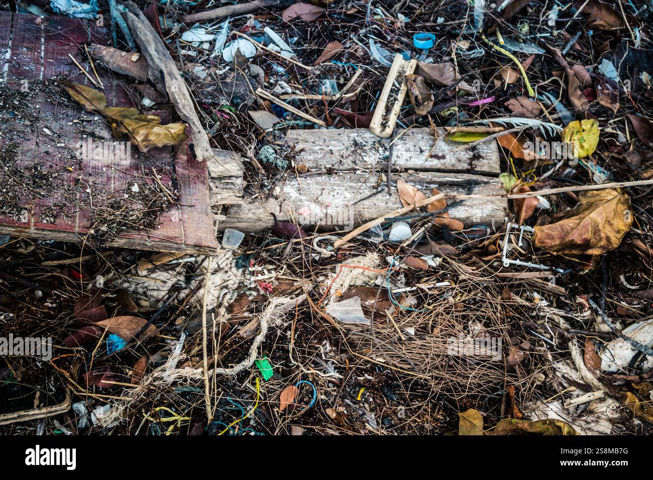Koh Rong, Cambodia, January 22, 2025 Garbage and plastic waste is ...