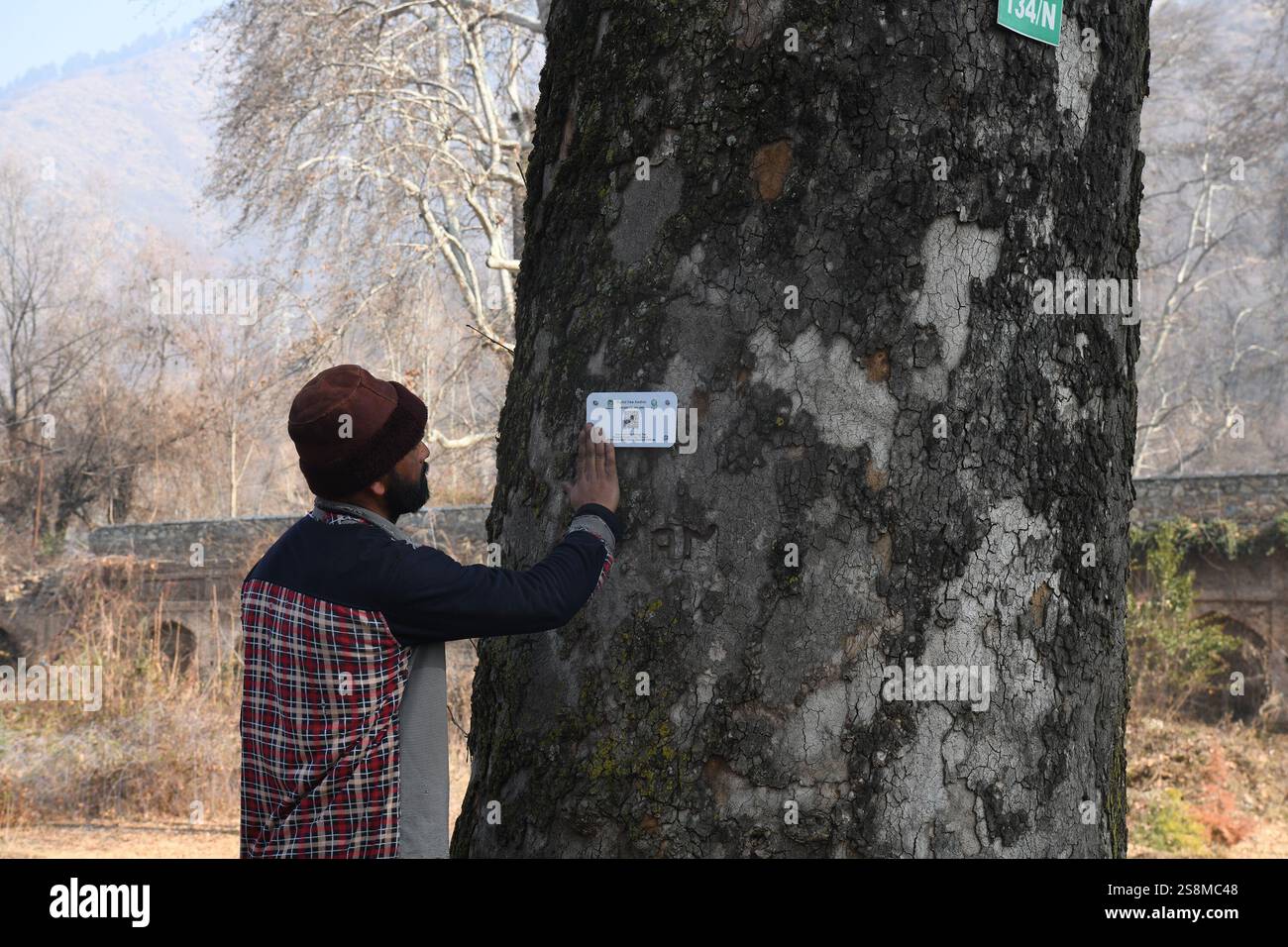 Srinagar, Jammu And Kashmir, India. 23rd Jan, 2025. Workers install a ...
