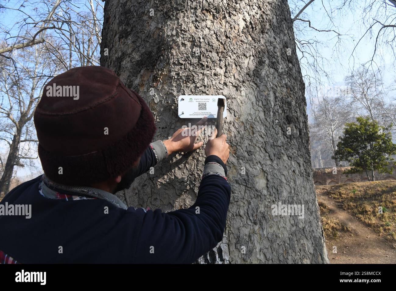 Srinagar, Jammu And Kashmir, India. 23rd Jan, 2025. Workers install a ...