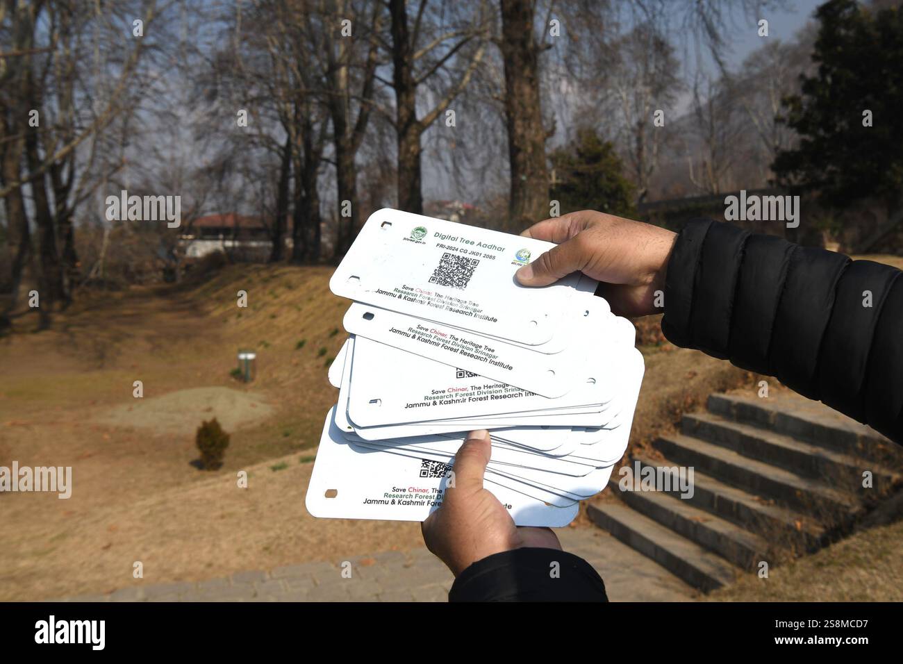 January 23, 2025, Srinagar, Jammu And Kashmir, India: A worker holds QR ...