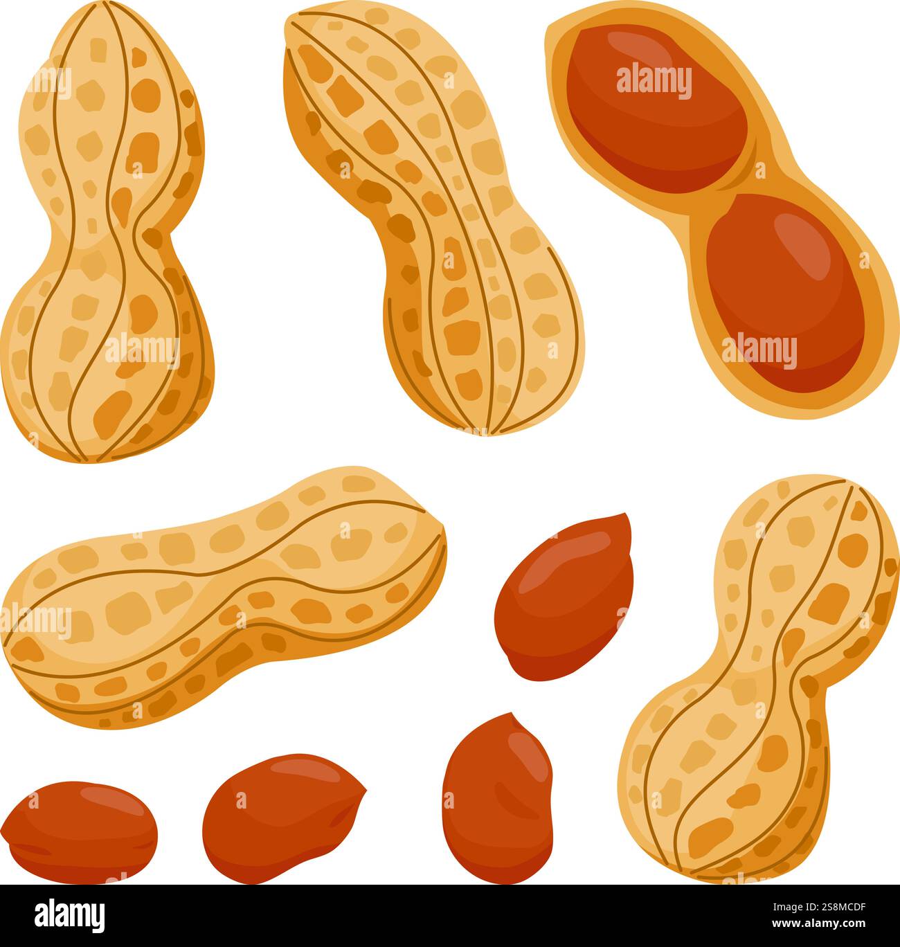 Peanuts on white background. Whole and peeled peanuts, tasty snack nuts ...