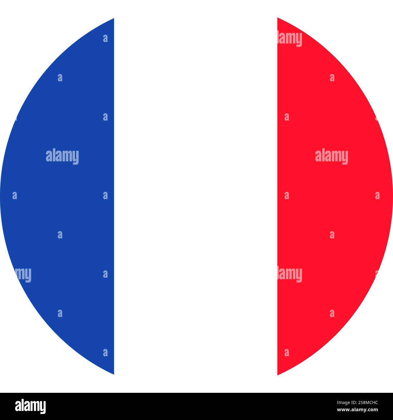 Round element in colors of France flag, meeting foreign guests ...