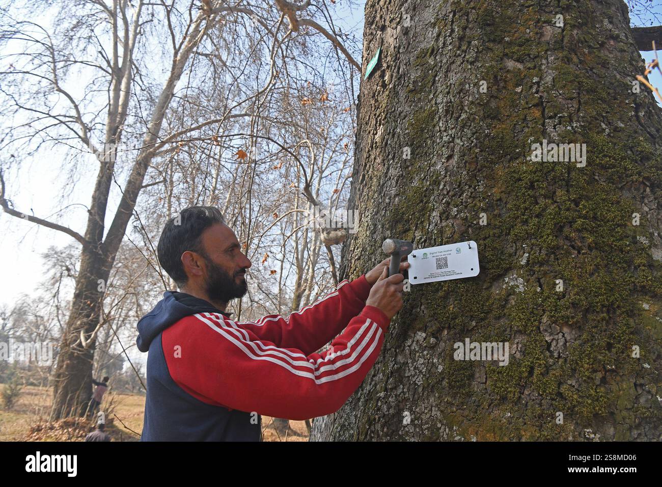 Srinagar, Jammu And Kashmir, India. 23rd Jan, 2025. Workers install a ...