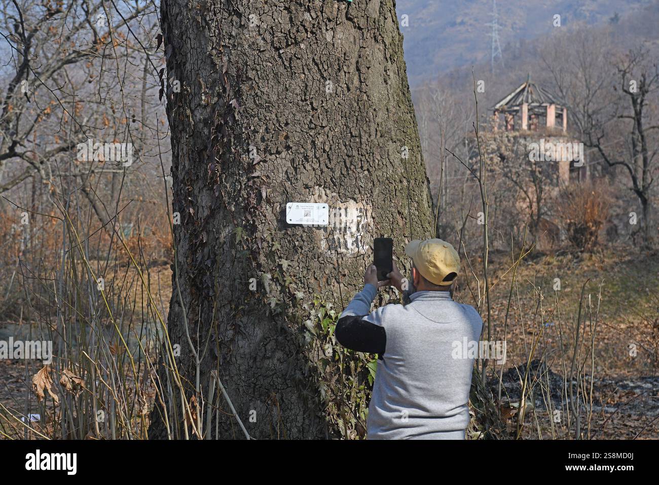 Srinagar, Jammu And Kashmir, India. 23rd Jan, 2025. Workers install a ...