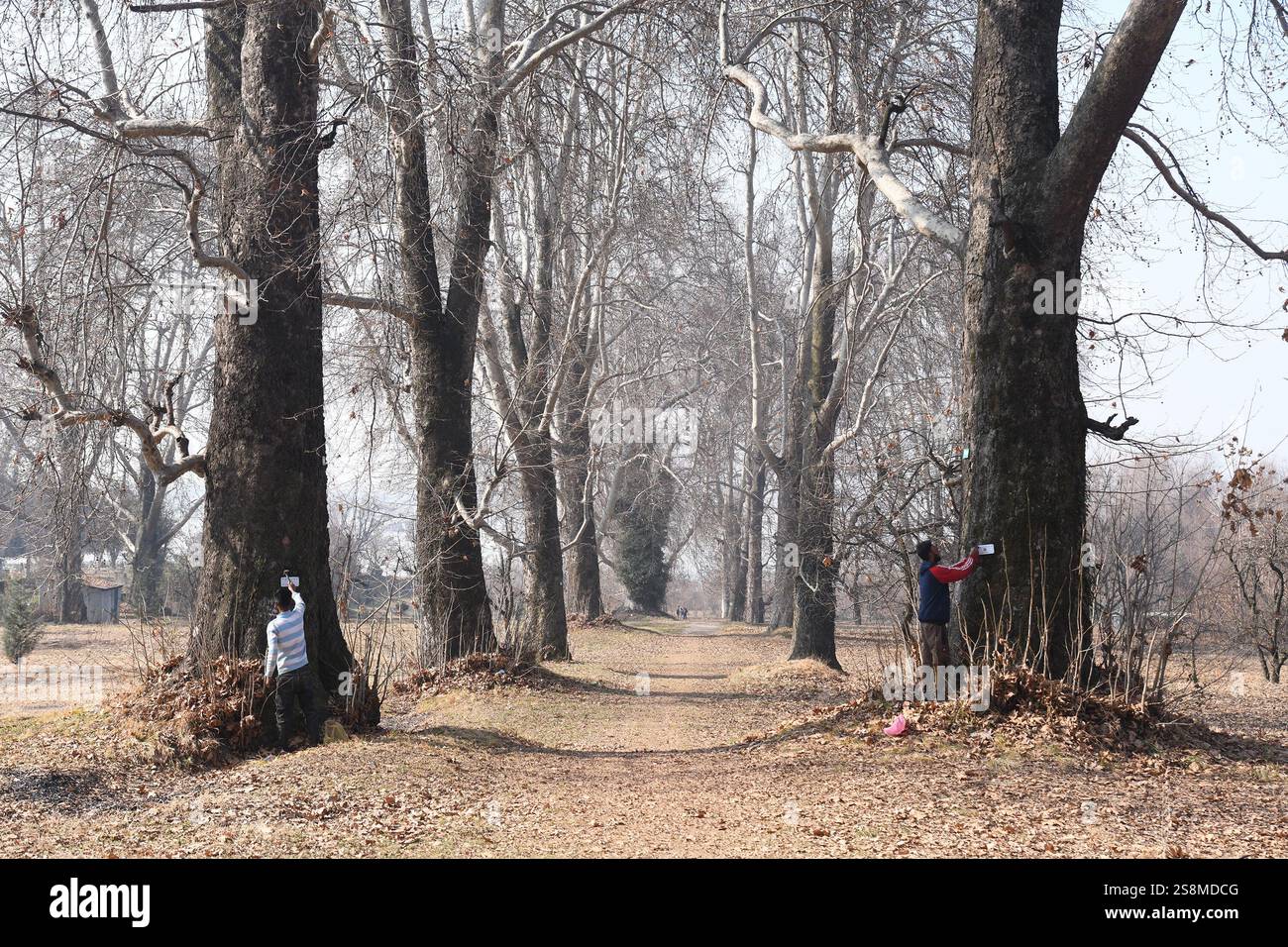 Srinagar, Jammu And Kashmir, India. 23rd Jan, 2025. Workers install a QR code-based GIS plate, a ...