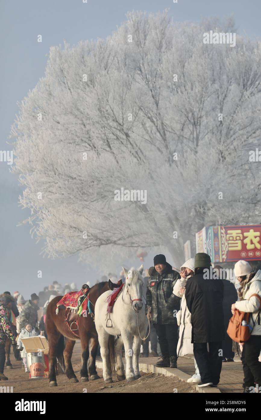Rime scenery in Jilin City, northeast China's Jilin Province, 20 ...