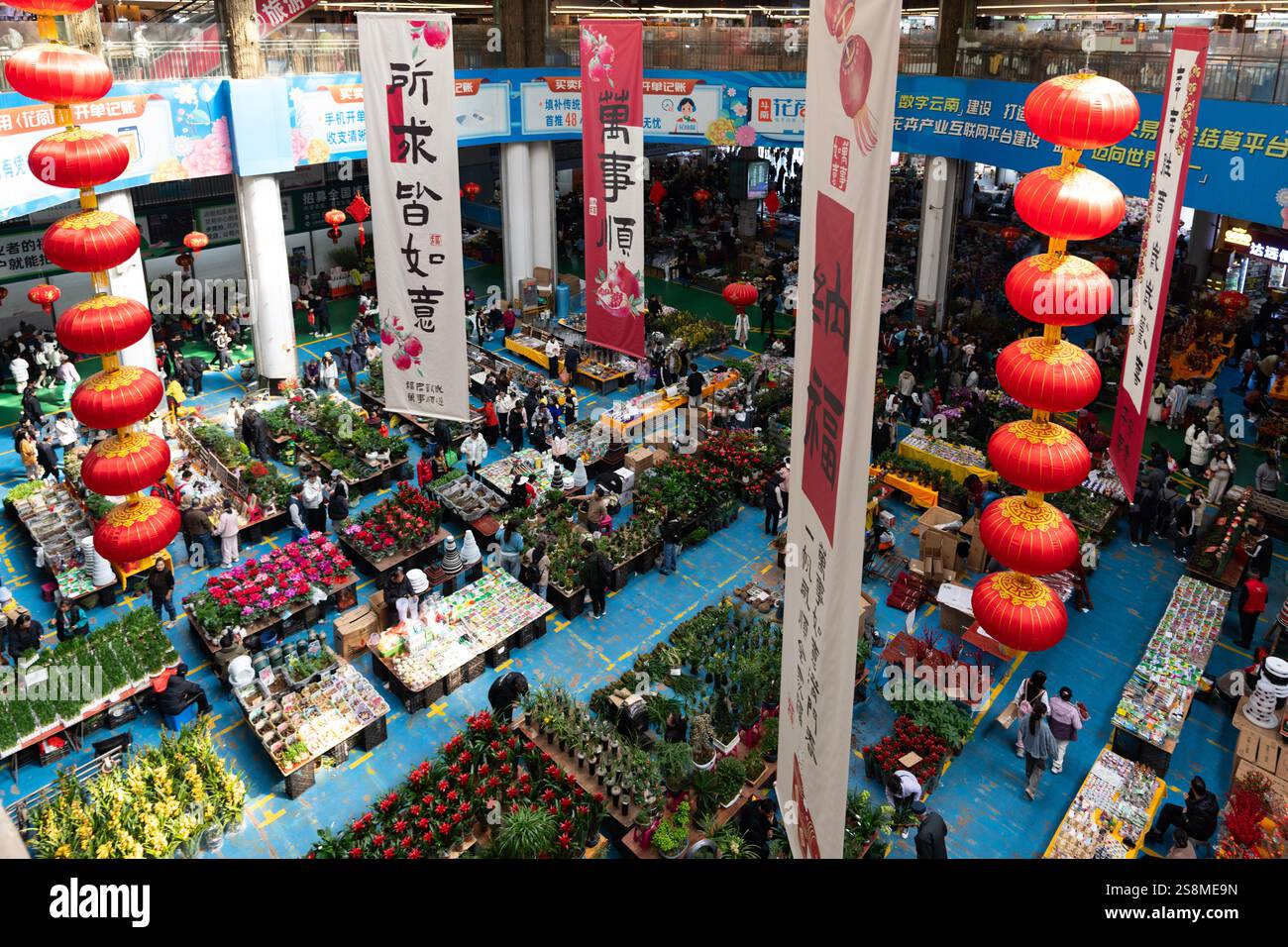 Kunming. 22nd Jan, 2025. This photo taken on Jan. 22, 2025 shows a view ...