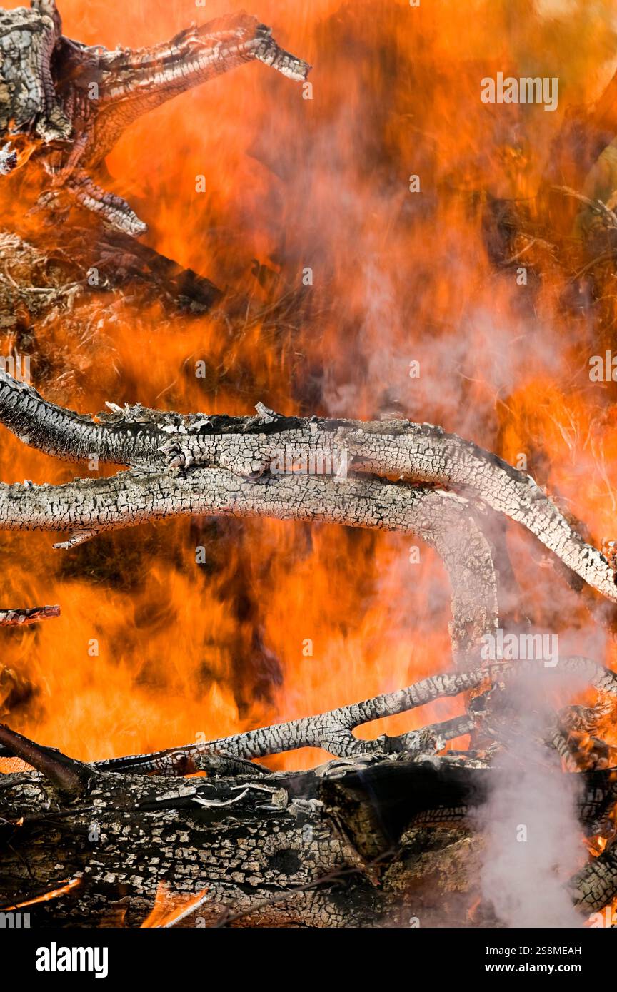 Burning a pile of garbage and rubbish in a bonfire fire pit for waste ...