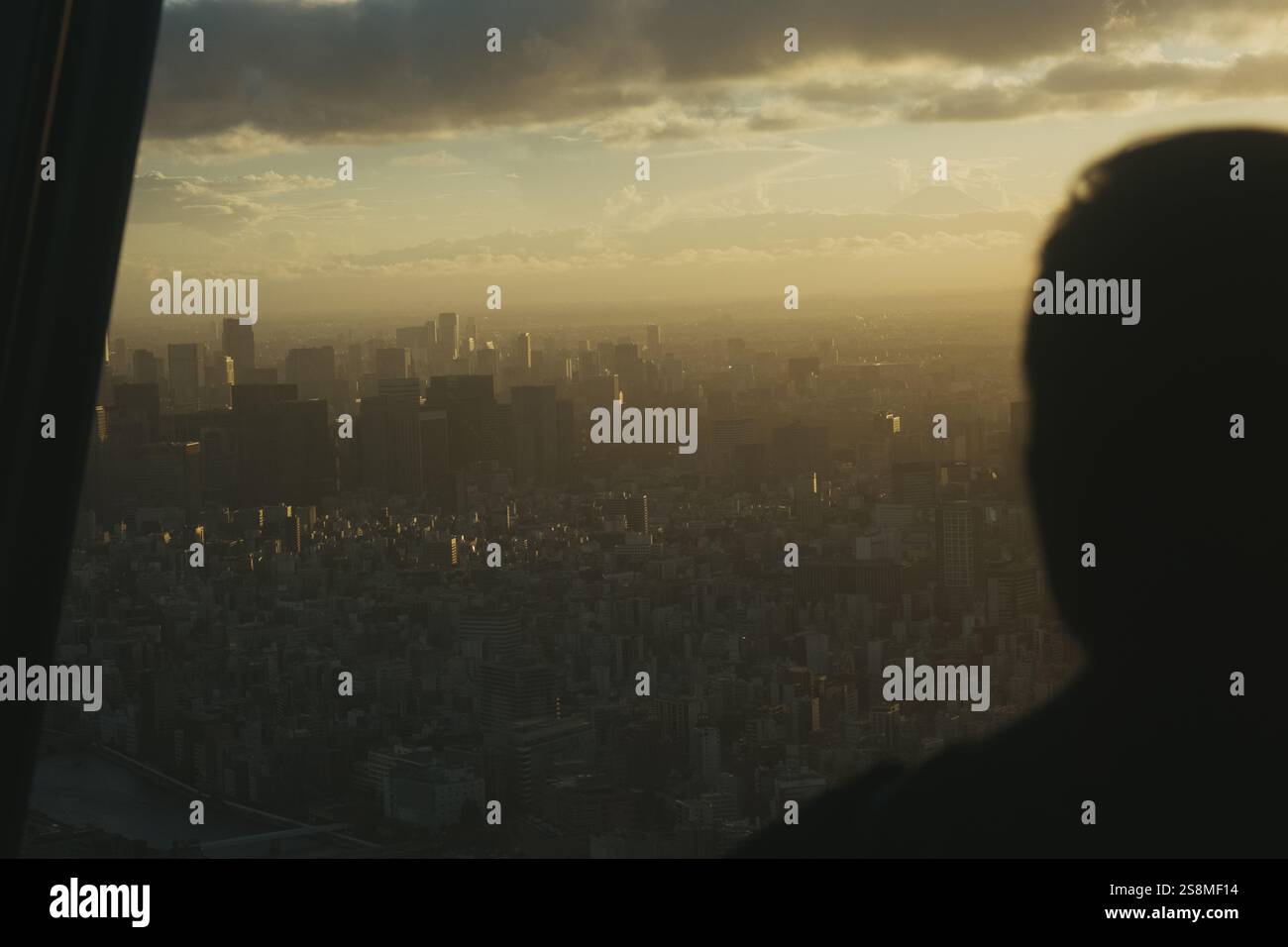 A silhouette overlooks a cityscape, with a serene skyline stretching ...