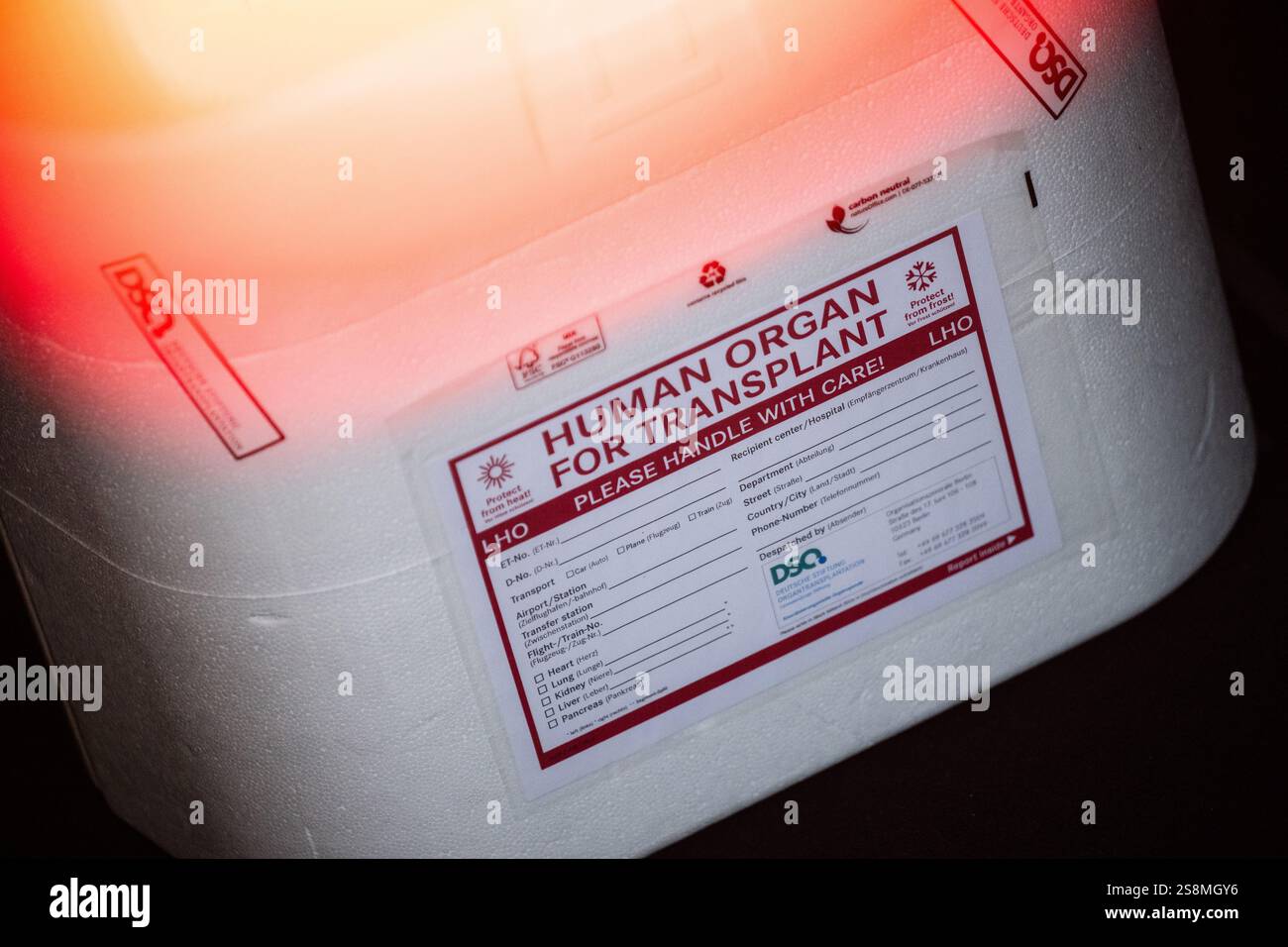 Berlin, Germany. 21st Jan, 2025. A cool box for an organ donation is in ...