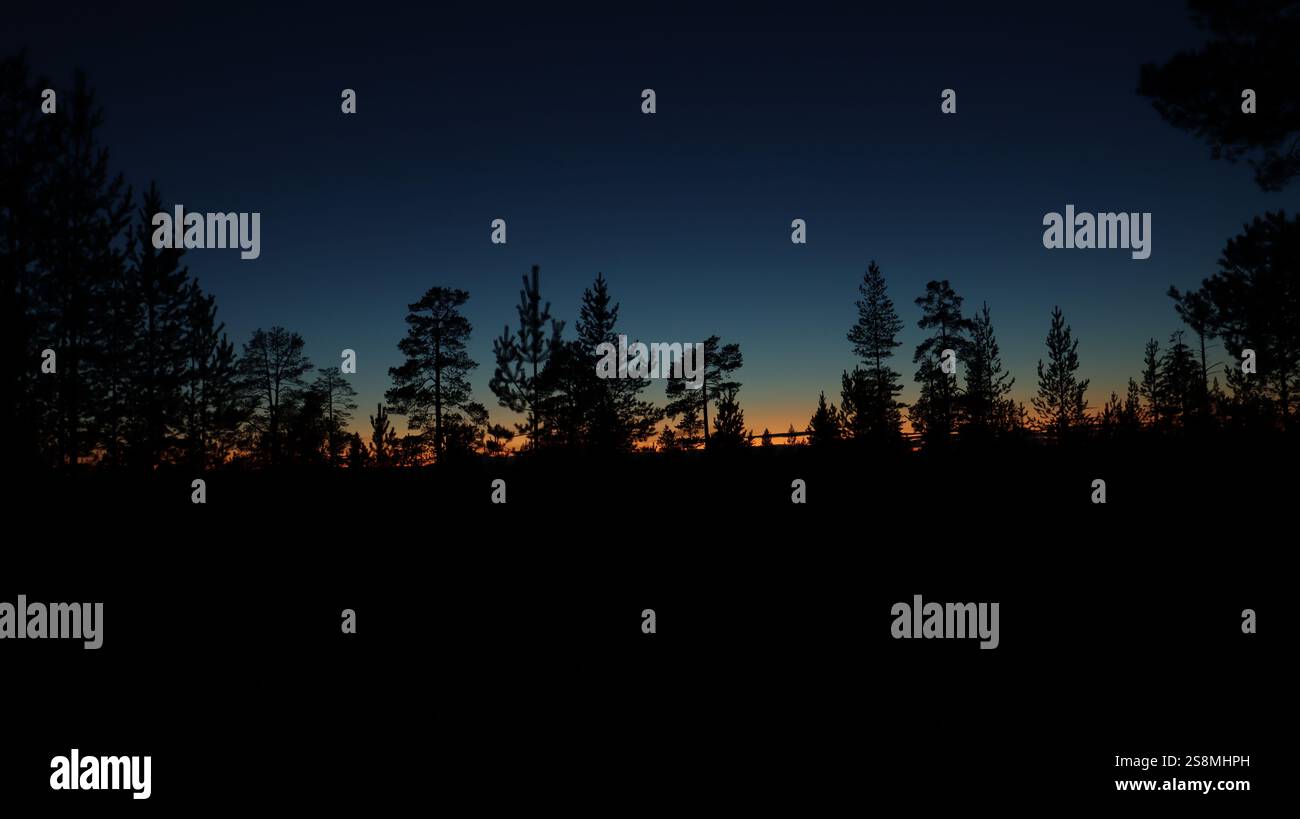 Silueta bosque hi-res stock photography and images - Alamy