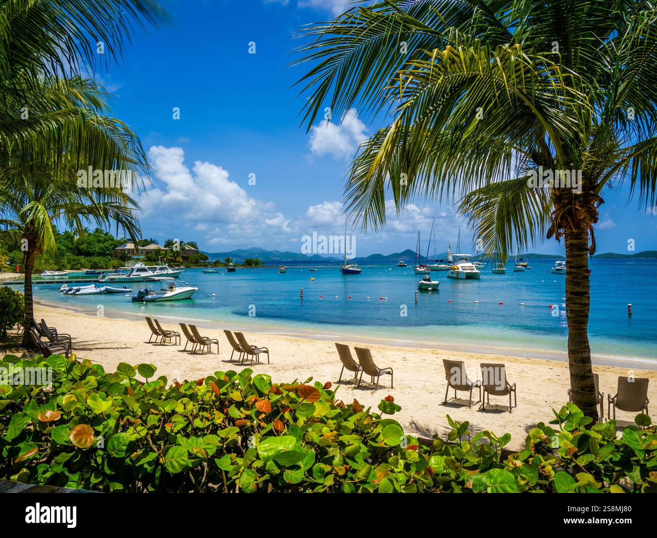 View of beach, Cruz Bay, St John, US Virgin Islands Stock Photo - Alamy