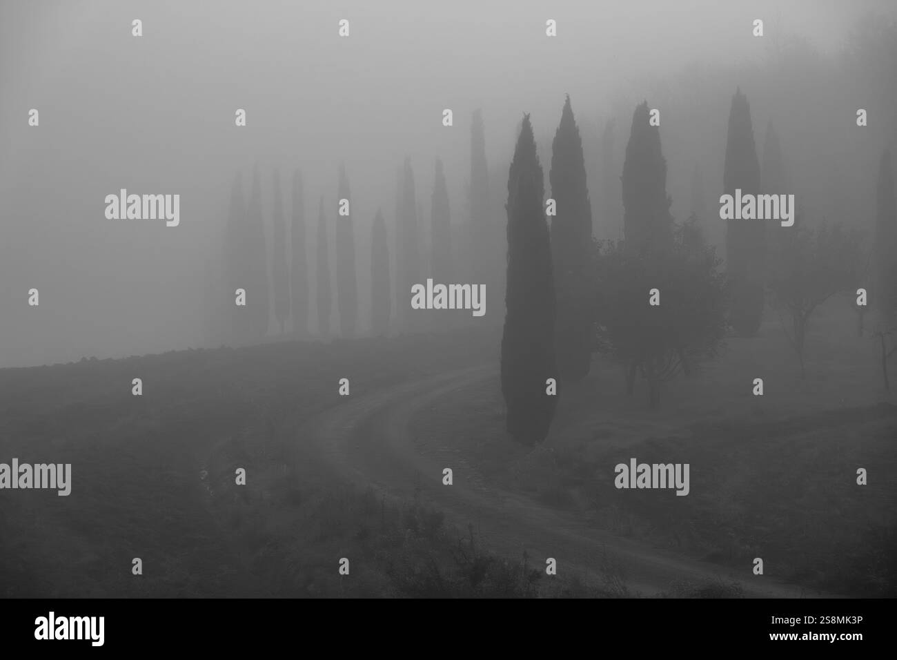 Serene landscape scene featuring Black and White Stock Photos & Images ...