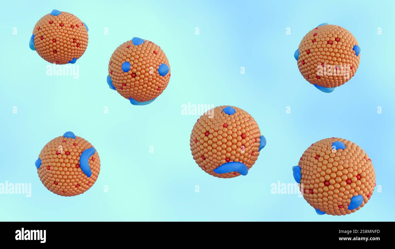 3d rendering of chylomicron particles. They are large lipoprotein ...