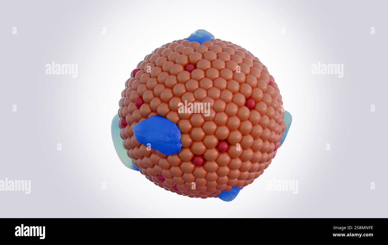 3d rendering of chylomicron particles. They are large lipoprotein ...