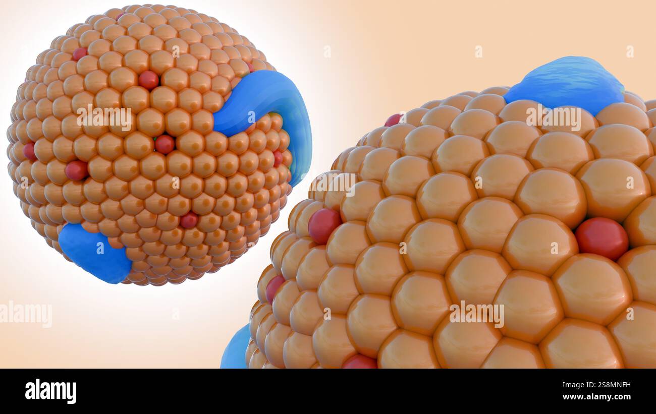 3d rendering of chylomicron particles. They are large lipoprotein ...