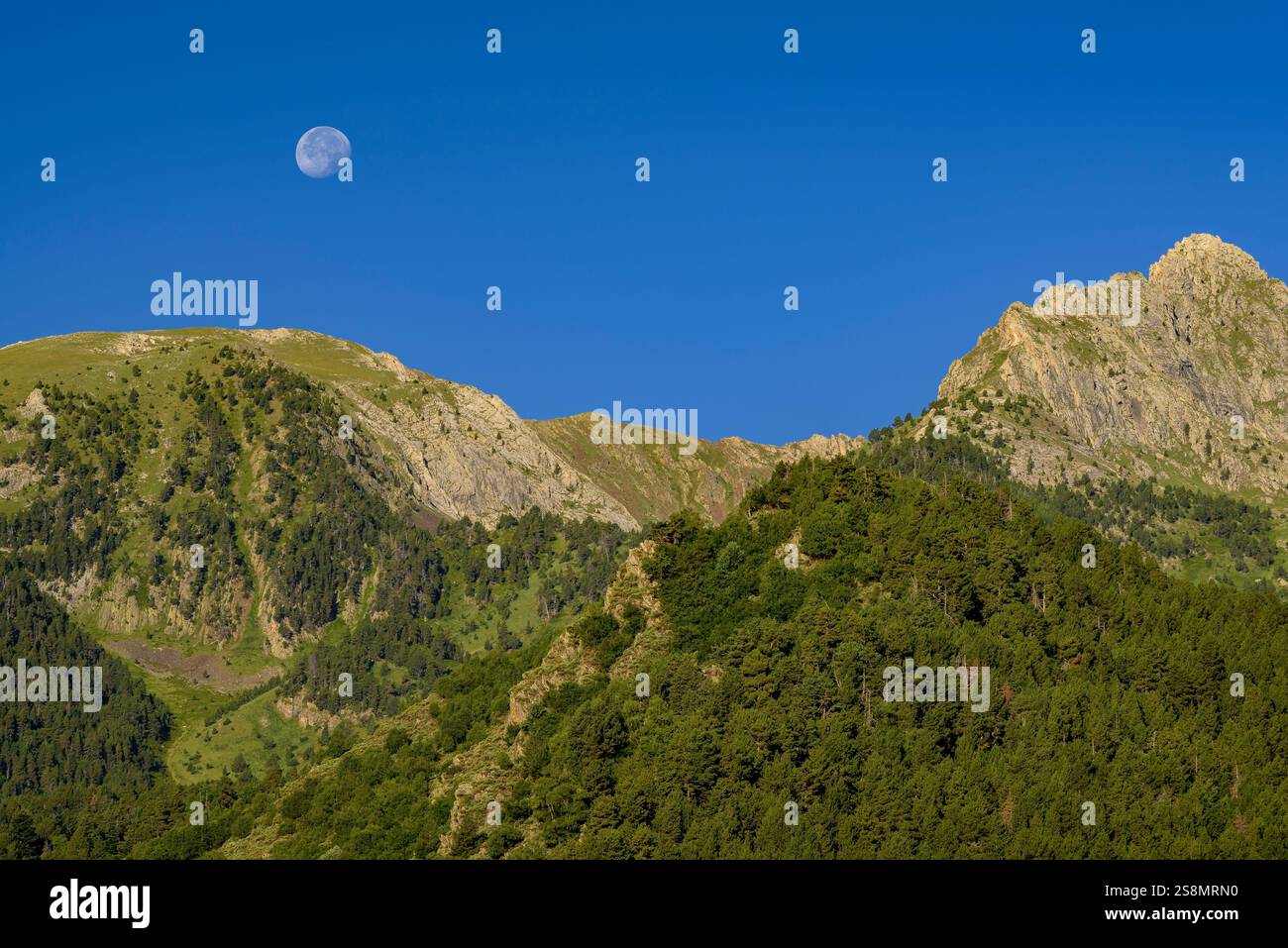 Son del pi hi-res stock photography and images - Alamy