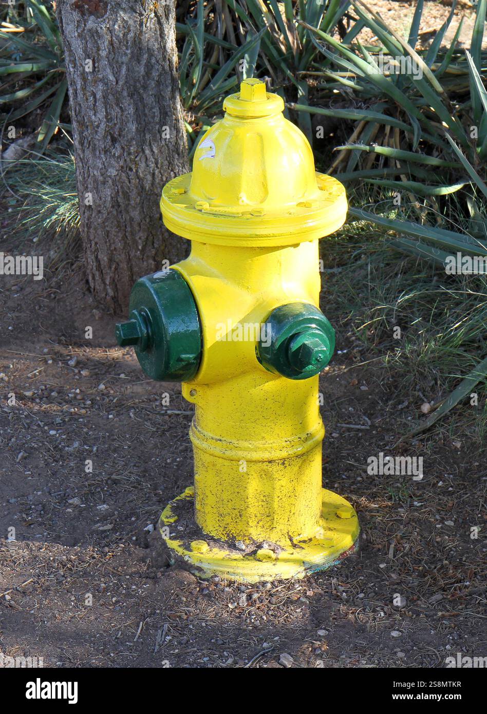 Yellow Fire Hydrant with Tree and Plant Background at Grand Canyon ...