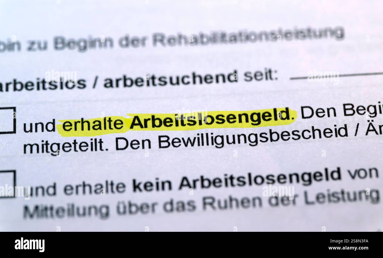 23.01.2025, Mindelheim, Bayern, Formular Deutsches Rentenamt, erhalte ...