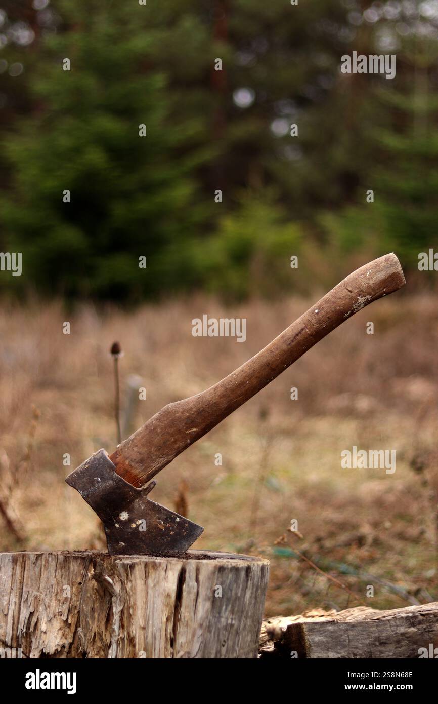 An axe driven into a stump, close-up. An old axe driven into a wooden ...
