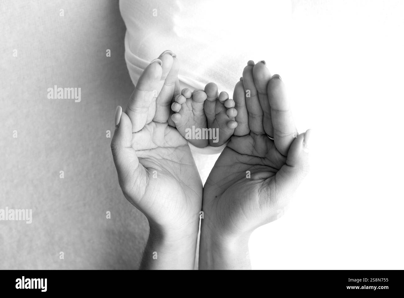 The palms of the parents. A father and mother hold the feet of a ...
