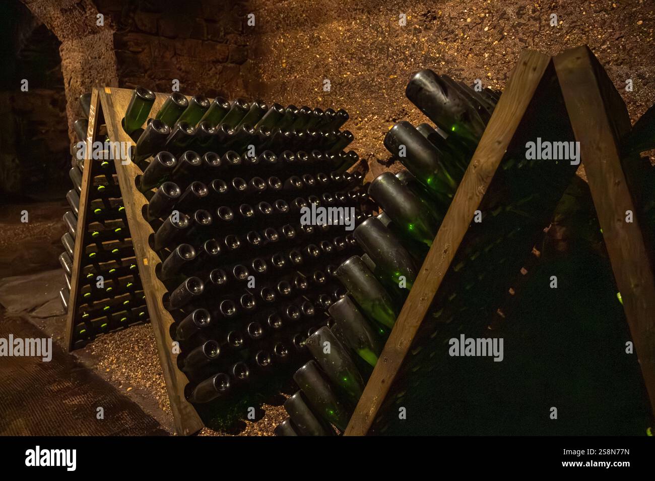 Riddling manual process in caves, wooden pupitres, traditional method ...