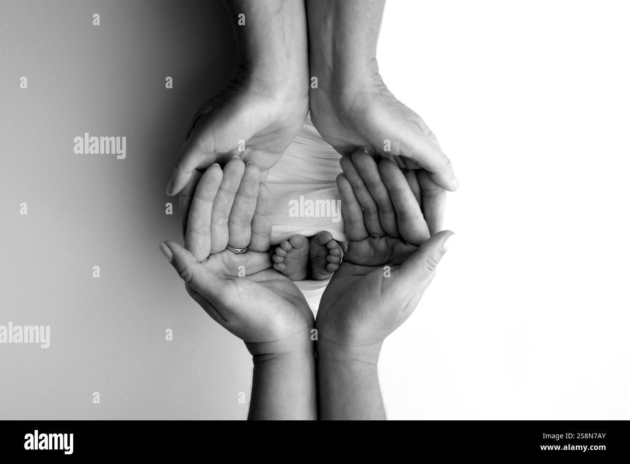 The palms of the parents. A father and mother hold the feet of a ...