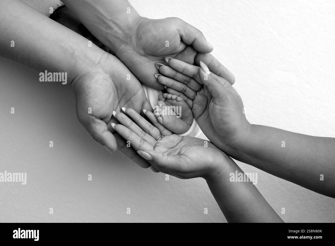 The palms of the parents. A father and mother hold the feet of a ...