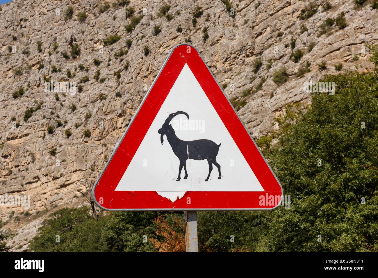 A warning sign displays a goat symbol, alerting drivers to wildlife on ...