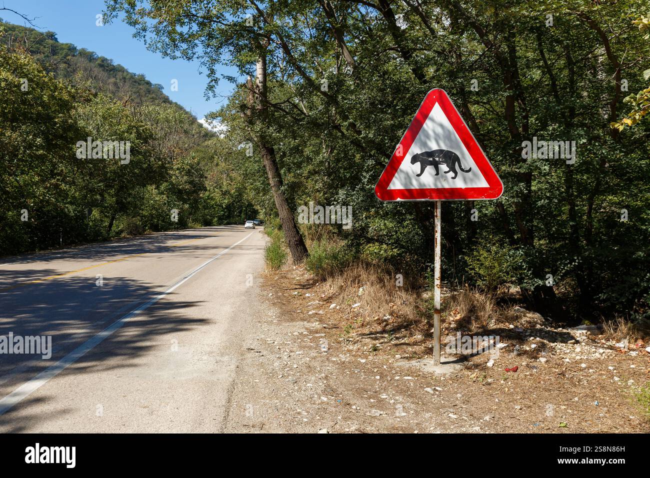 A wildlife warning sign indicating the presence of animals along the ...