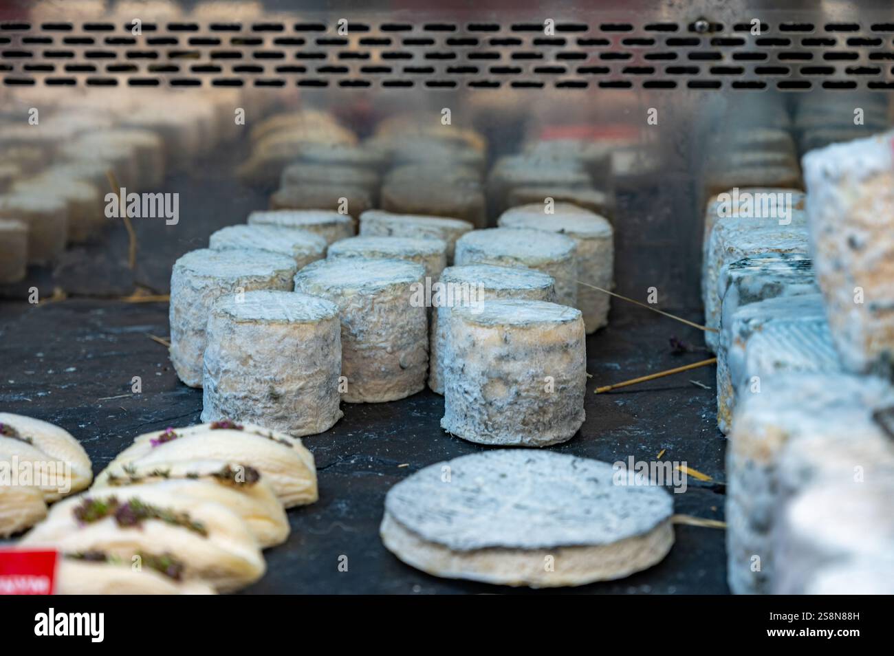 French goat chevre cheeses fresh and crottin chavignol, made from ...